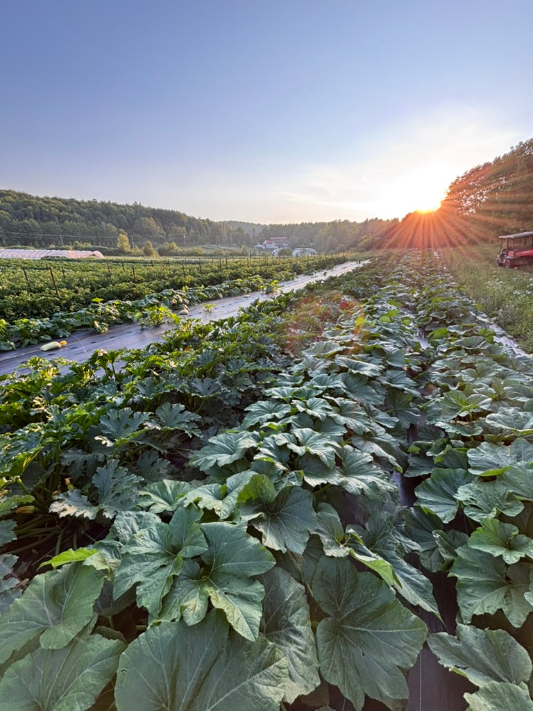 Organic Food Home Delivery – Juniper Farm Store